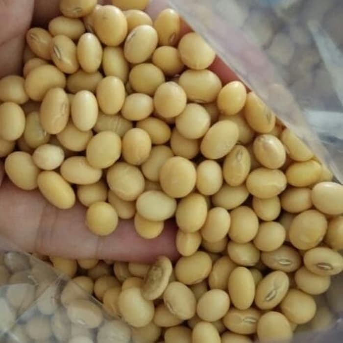 jenis varietas kacang kedelai - Thomas Fraser